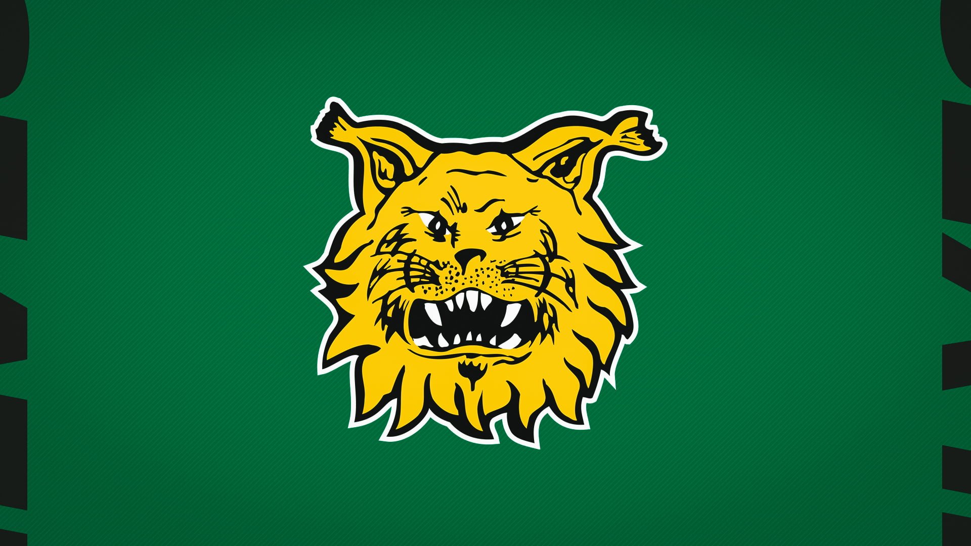 Etusivu • Tampereen Ilves