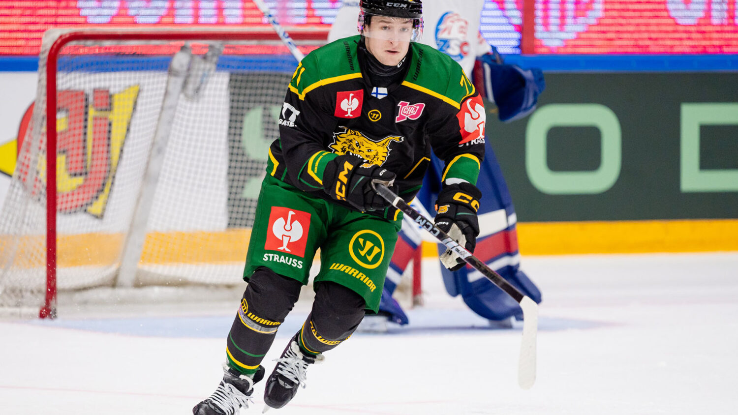 Spotlight: Adam Najman – ”Teen kaikkeni joukkueen tavoitteen eteen ...